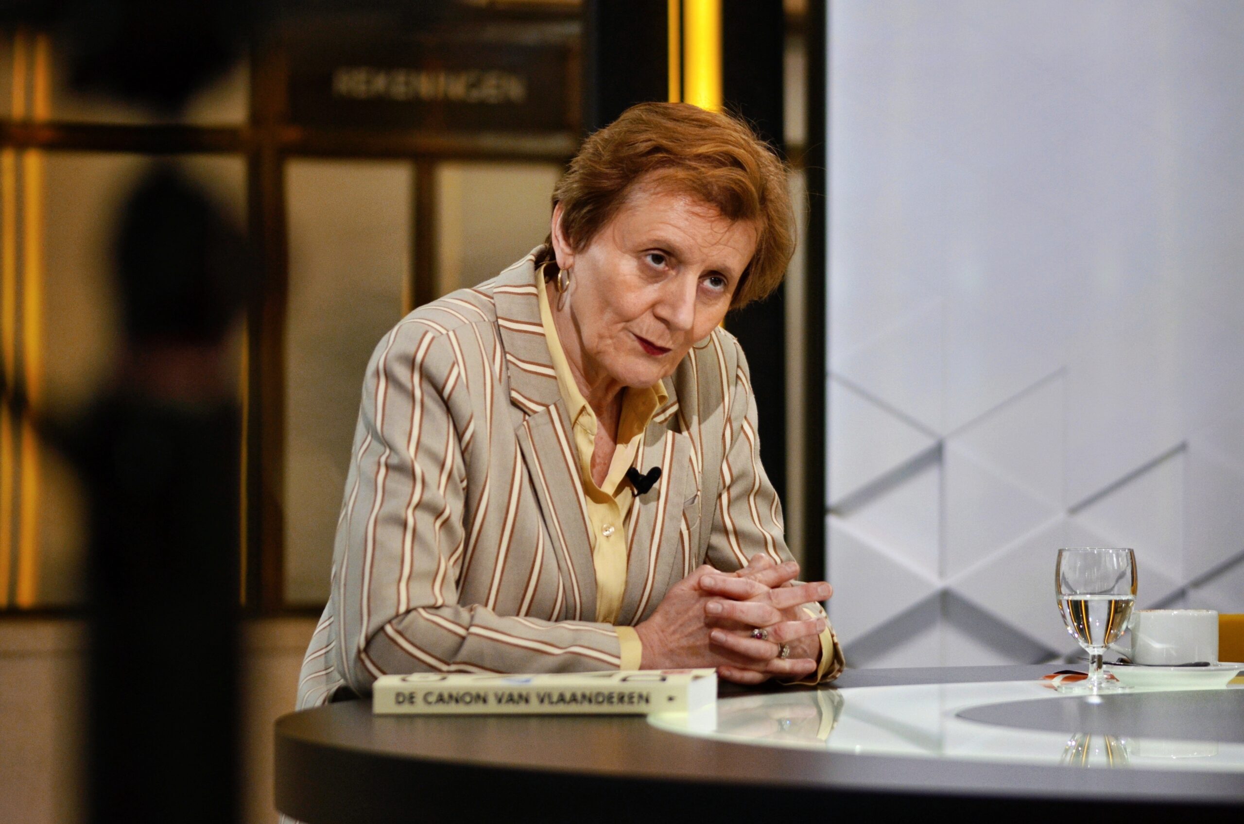 “De Vlaamse canon is geen politiek project” - Katlijne Van der Stighelen